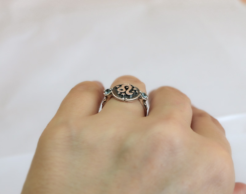 Zodiac signs ring set